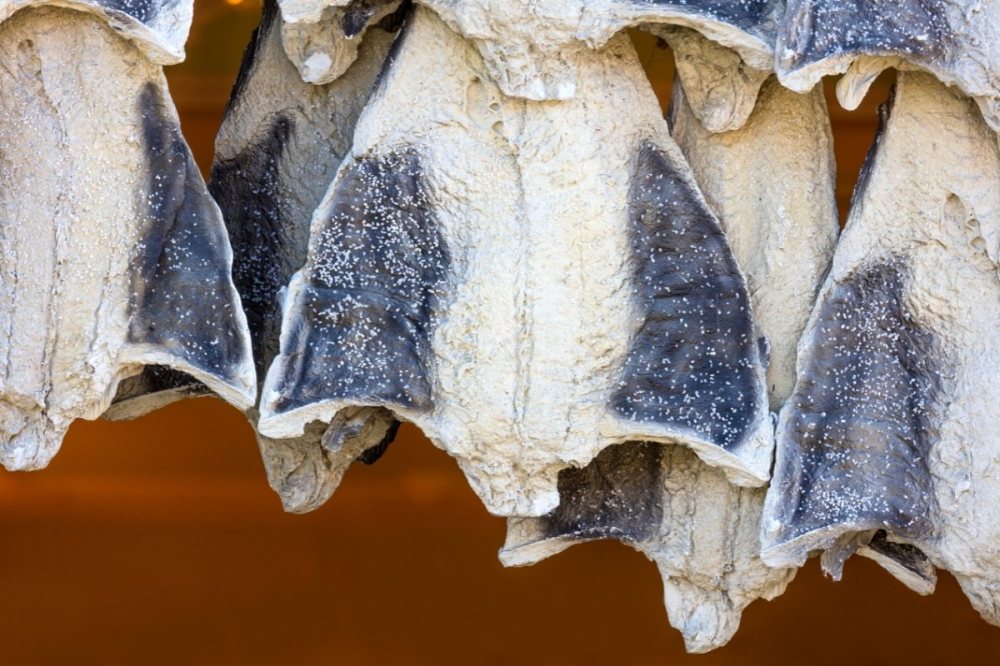 10 Portuguese Cod Fish Recipes step-by-step