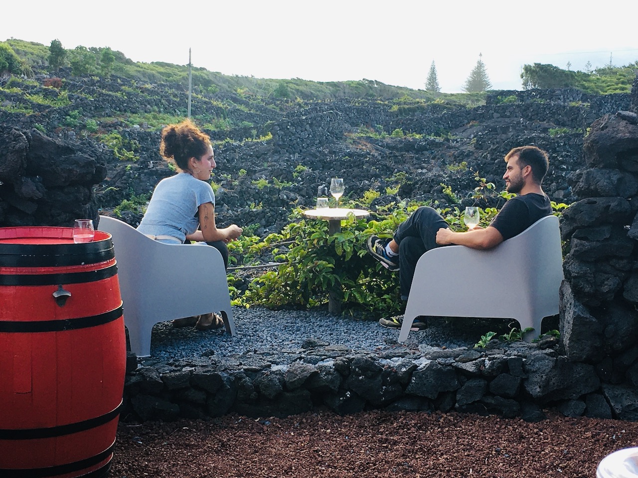 Pico Wine Tasting & Culture with small producers | Oh! My Cod